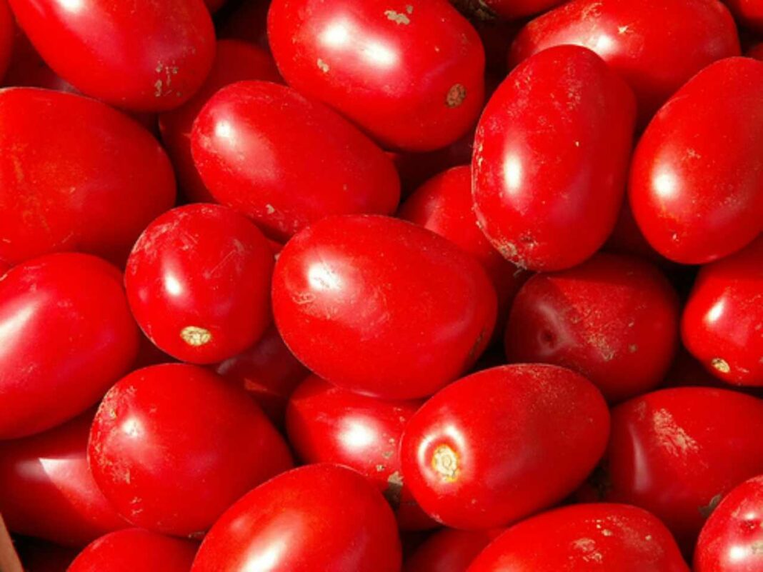 Concentrati pomodoro: quali sono le marche sconsigliate
