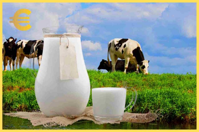 Il latte migliore è il più inaspettato: gli esperti spiazzano tutti